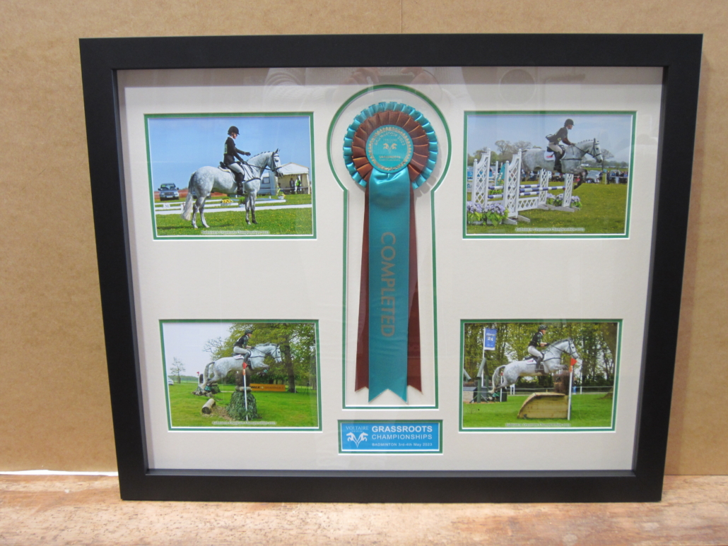 Horse riding rosette - Midland Fine Framing